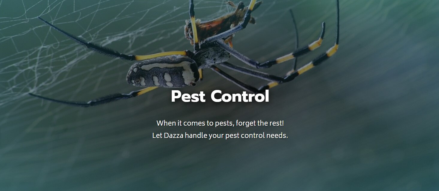 Pest Control Services - Dazza's Garden and Pest Control